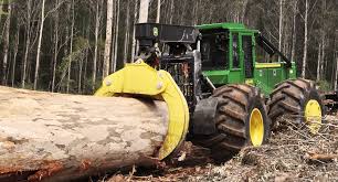 Logging Safety - Southwest Mississippi Community College Workforce Training